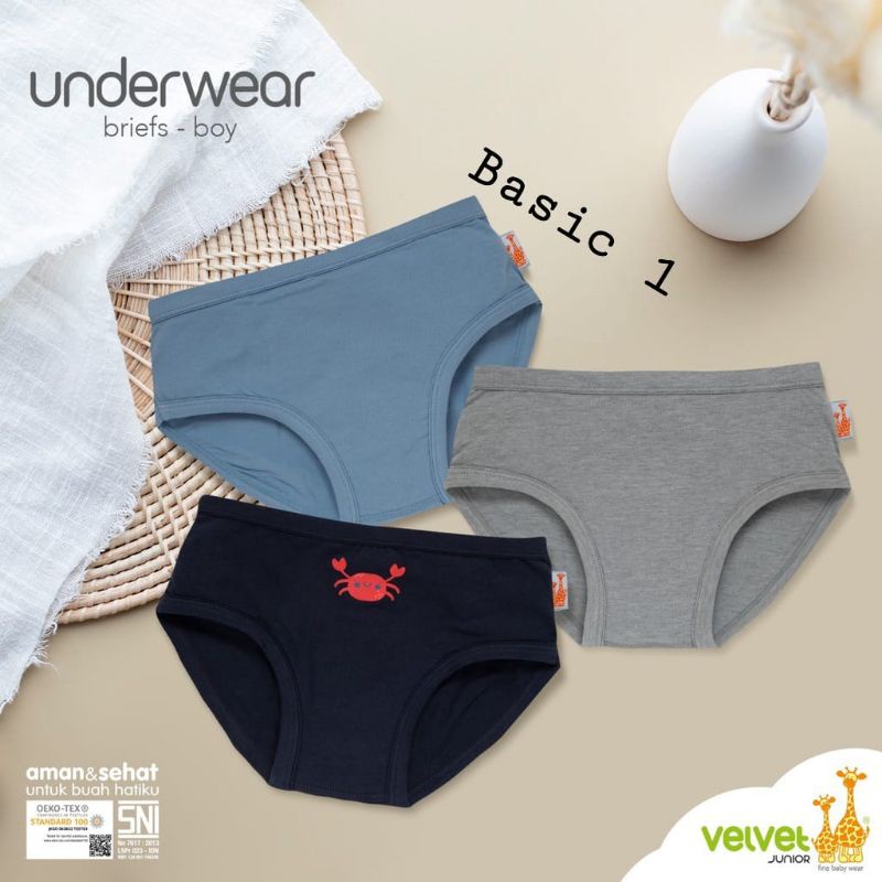 1 pack - Velvet Junior Briefs Boy Underwear | Shopee Malaysia