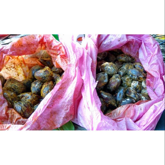 Sawit Peram (Makanan kesukaan Ikan Temelian/Temoleh) | Shopee Malaysia