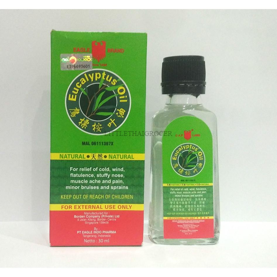 Minyak Kayu Putih Eucalyptus Oil 10ml Cap Lang (minyak cap helang ...