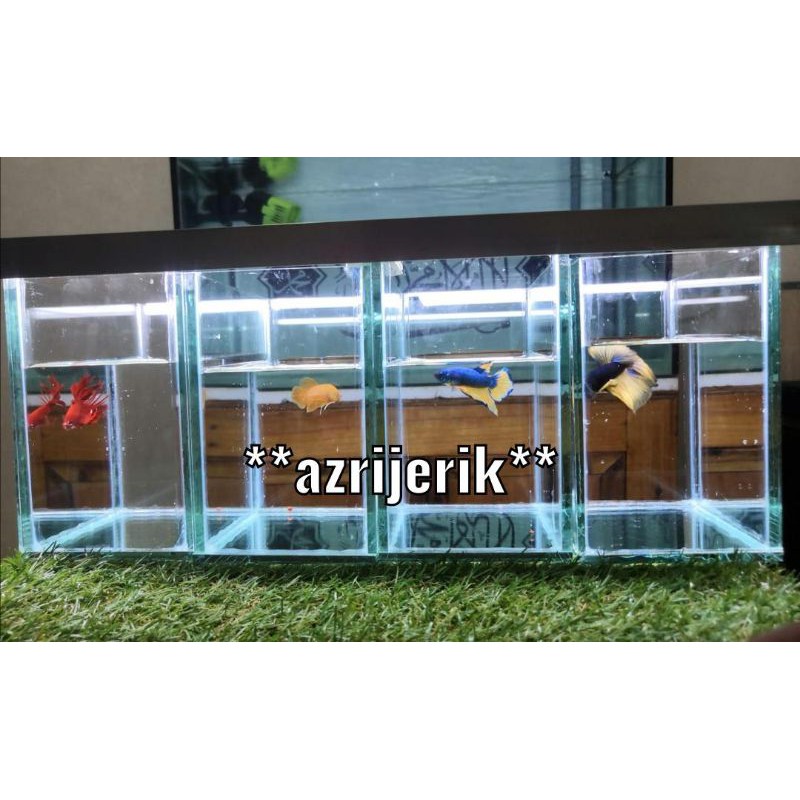 akuarium kaca ikan laga / aquarium glass betta fish tank tebal kaca 5mm ...