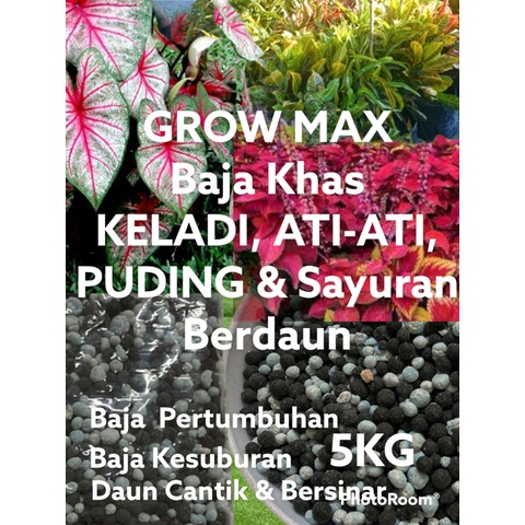5kg Baja Growmax Specal / Baja Khas Untuk Keladi / Bunga ati--Ati ...