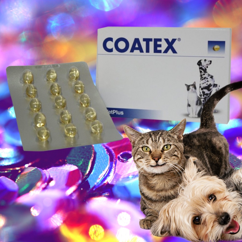 Coatex 60 Capsules for Cats and Dogs skin supplement oil omega capsule ...