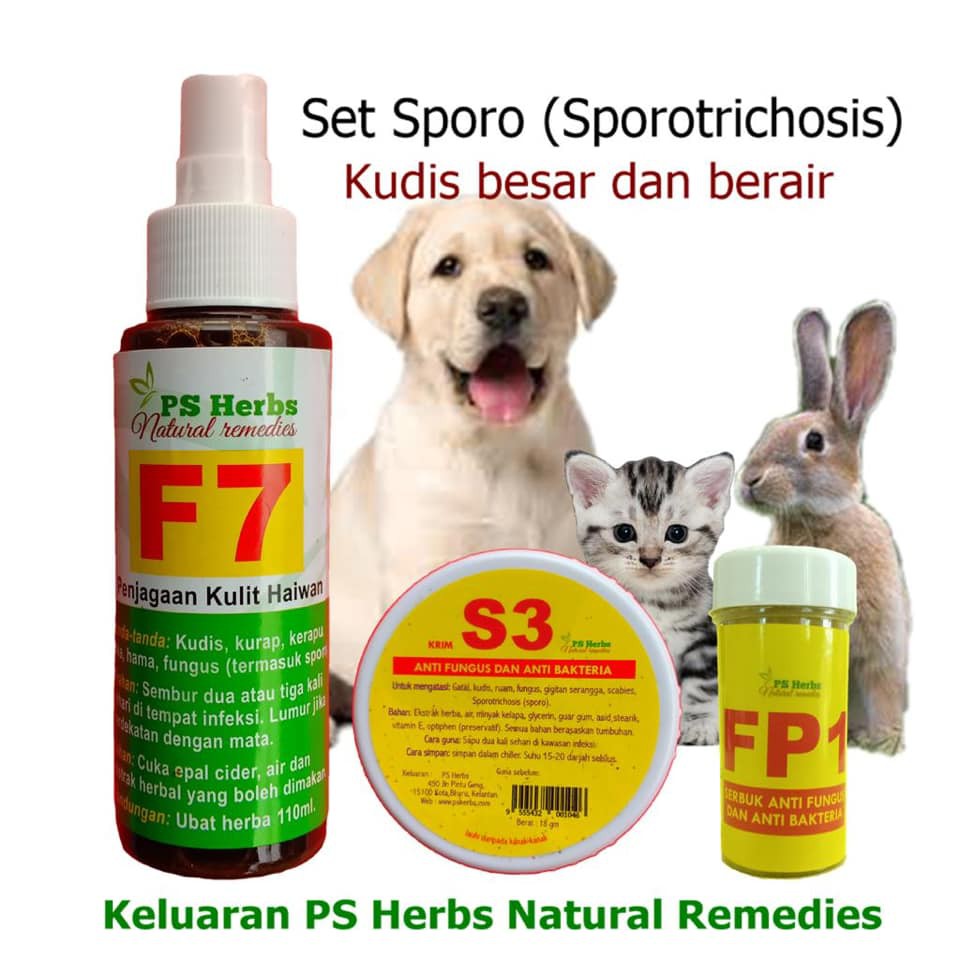 Ready Stock - Set Rawatan Kucing Sporo dari PS Herbs. (Spray F7 100ml ...