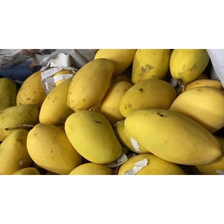 MANGGA/PAUH LEMAK 3 RASA MASAK | Shopee Malaysia