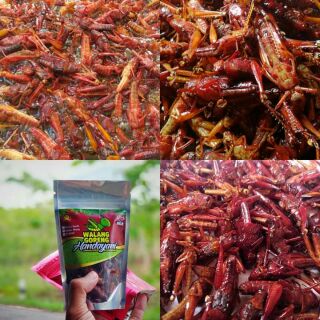 fries - Prices and Promotions - Jan 2023 | Shopee Malaysia