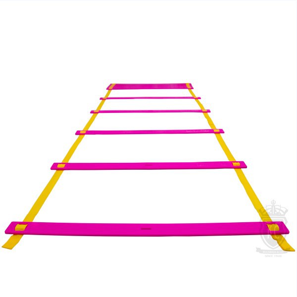 TRIDENT AGILITY LADDER ( Premium Speed Ladder) | Shopee Malaysia
