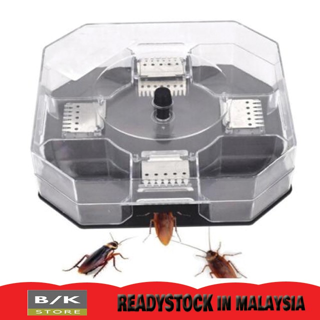 Perangkap Lipas - Cockroach Trap Non toxic Killer Box Reusable Physical ...
