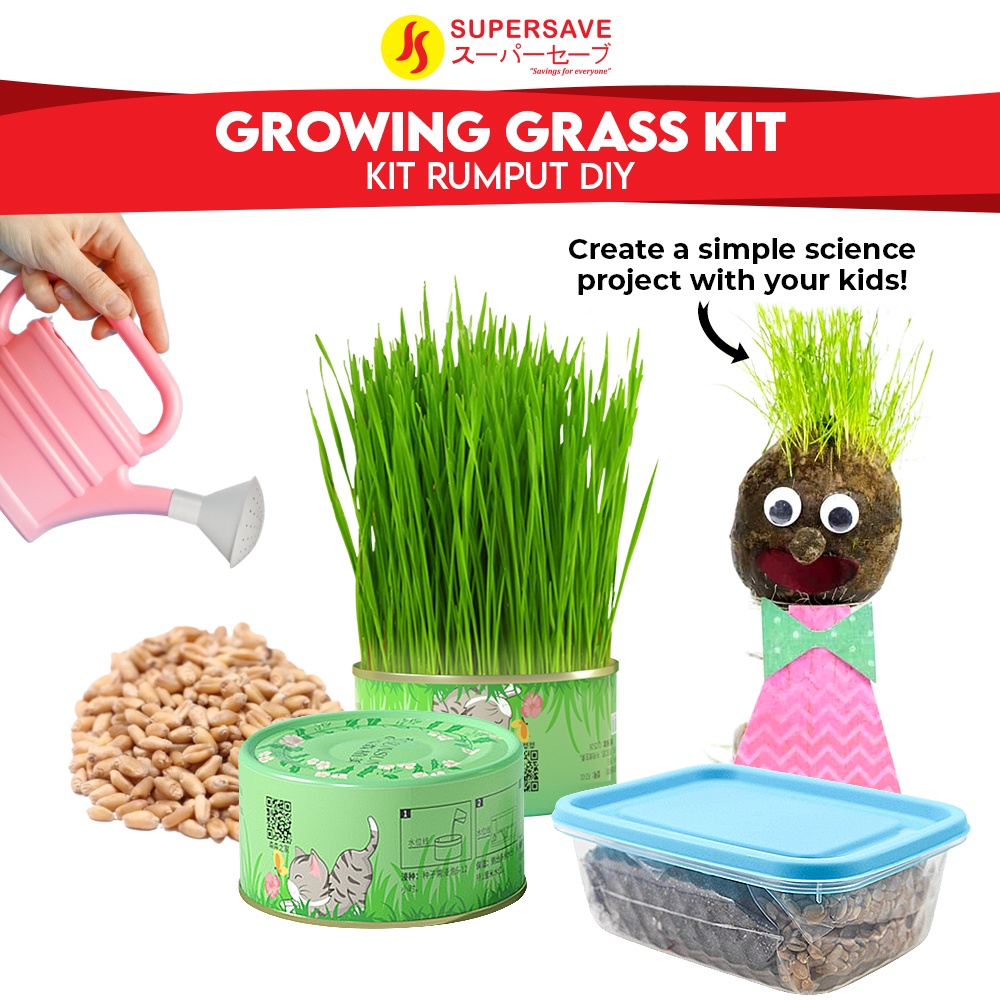 SUPERSAVE DIY Growing Grass Kit for Children Indoor Plant Kids Toy ...