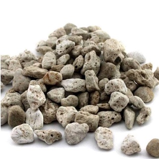 BATU PUMIS/ BATU APUNG [1KG] | Shopee Malaysia