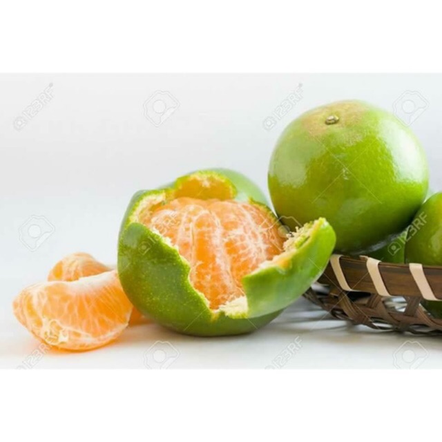 Limau madu / pokok limau madu hybrid / pokok limau madu cepat berbuah ...