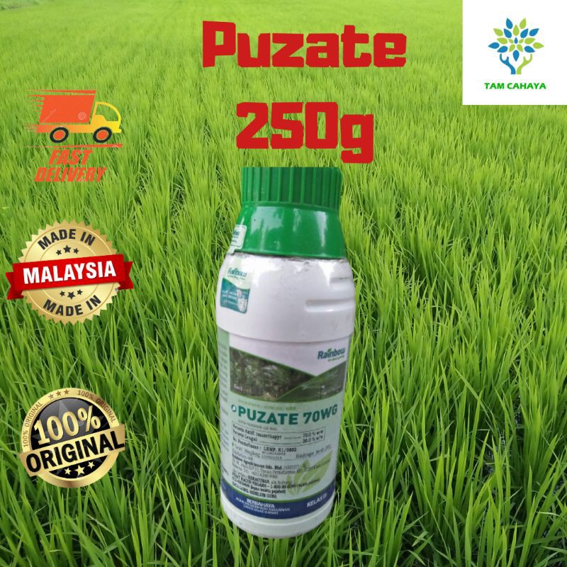 Puzate 70WG 250g Rainbow Racun Padi Angin untuk Padi Kebai | Shopee ...