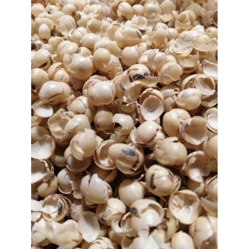 [Cattle/Pet Feeder Food] Soy Bean Hulls 黄豆皮 1.0KG+ | Shopee Malaysia