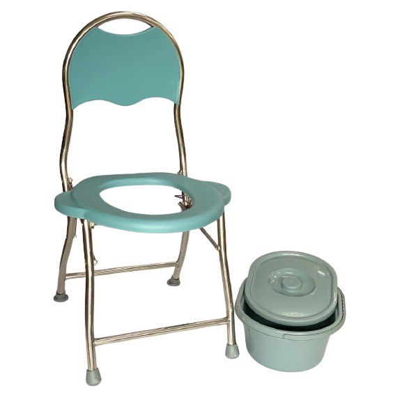 Promedictech Basic Commode Chair With Back Rest (Stainless Steel ...