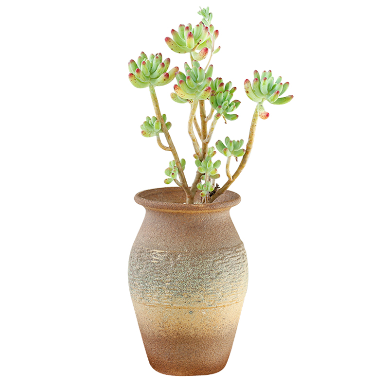 No Brahma old pile multi-meat flowerpot ceramic large master coarse ...