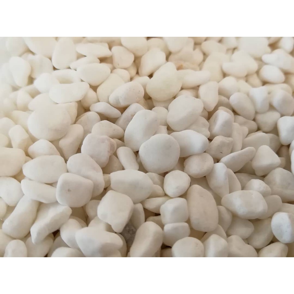 PEBBLE WASH STONE -White 0.5cm-1cm | Shopee Malaysia
