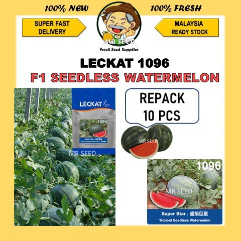 ECKAT 1096 Seedless Biji Benih Tembikai Merah Tanpa Biji F1 Hybrid RED Watermelon Seed (10 Seeds ...