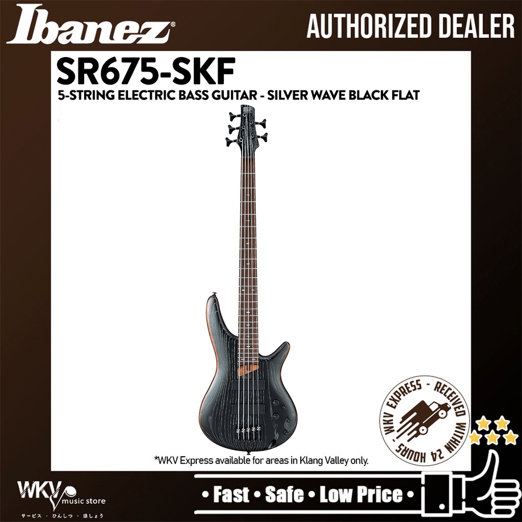 Ibanez SR675 5-String Electric Bass Guitar - Silver Wave Black Flat ...