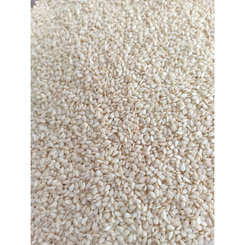 (1KG) BIJI BIJAN PUTIH/ LENGA/ LENGO/ WHITE SESAME | Shopee Malaysia
