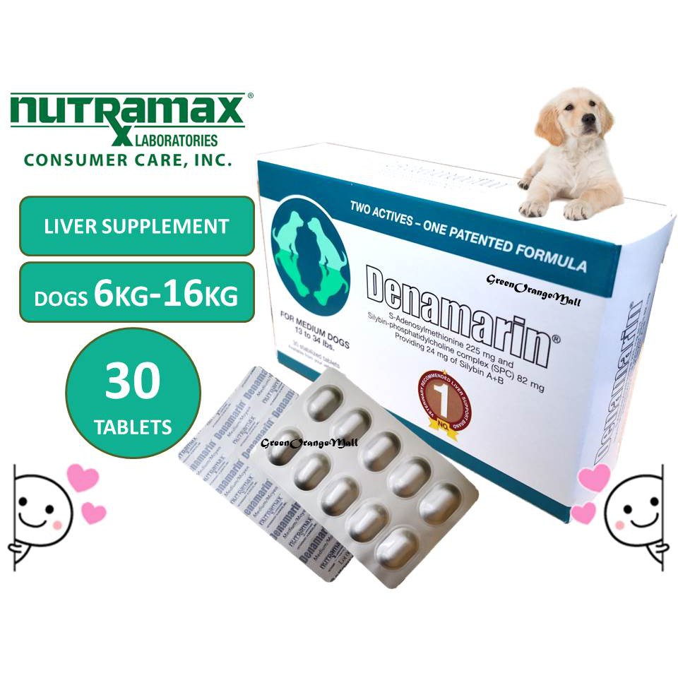 What Are The Side Effects Of Denamarin For Dogs