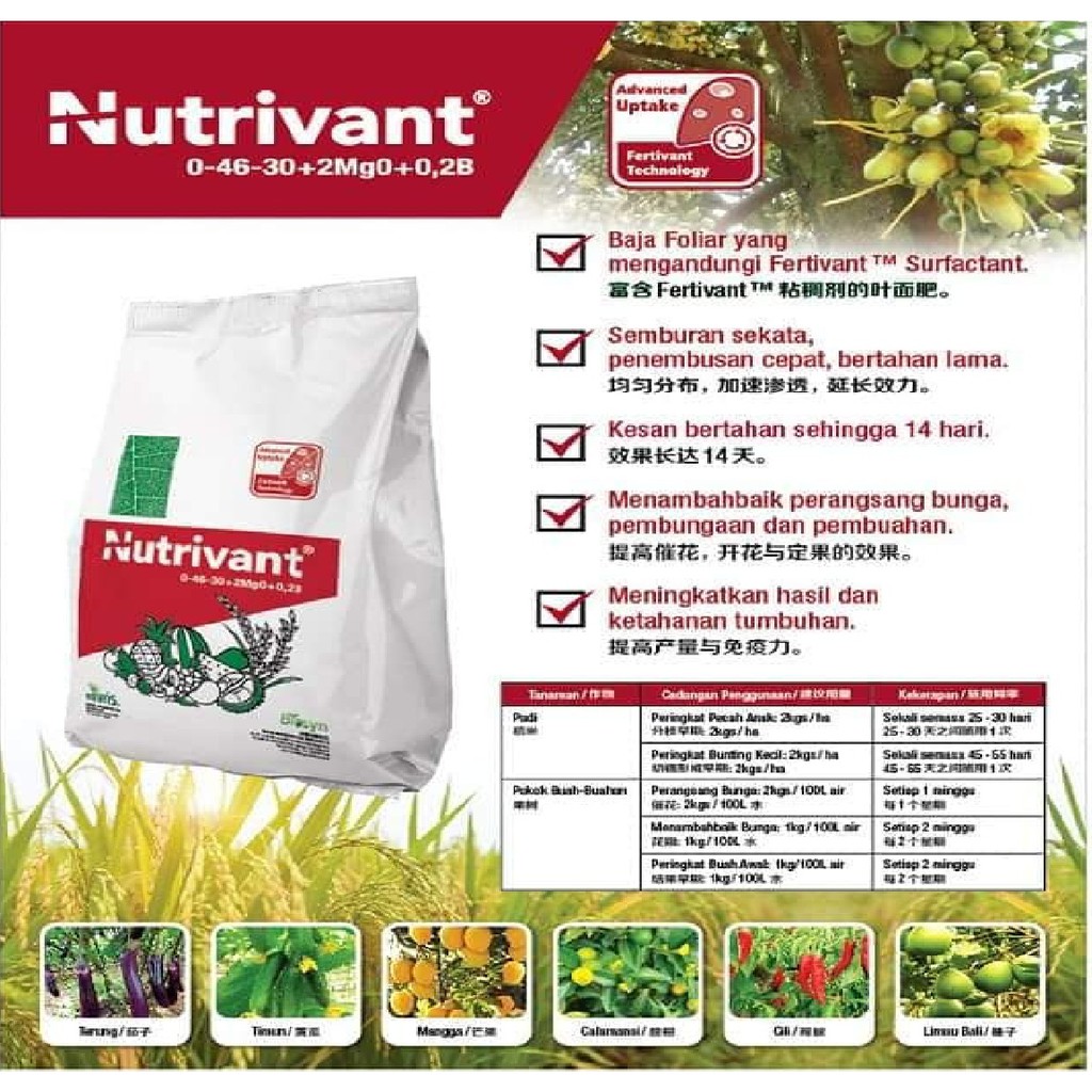 BIOSYN NUTRIVANT [1KG] (0-46-30+2MgO+0,2B) | Shopee Malaysia
