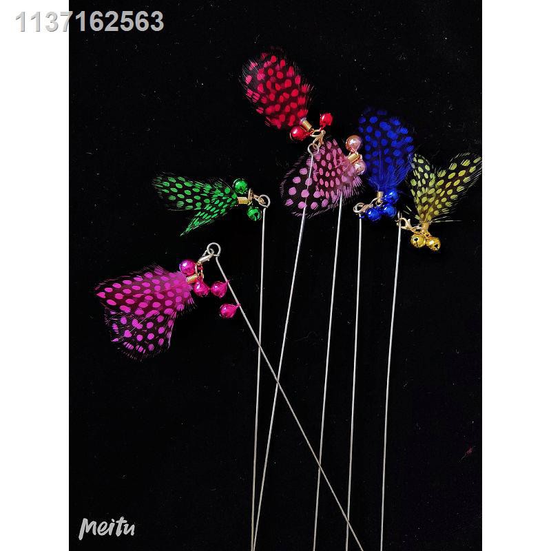 ☁kelas pertandingan serangga lalat pendarfluor kucing lucu CFA foto ...