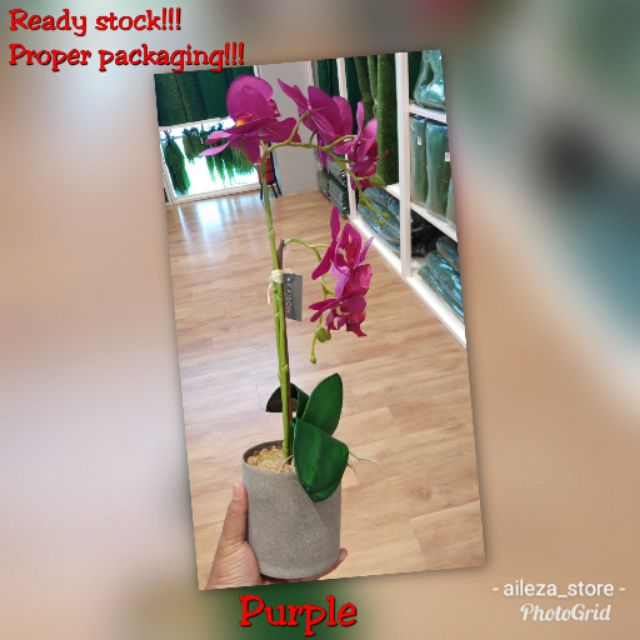 Kaison Artificial Potted Plant Purple & White Orchid Pokok Bunga Hiasan ...