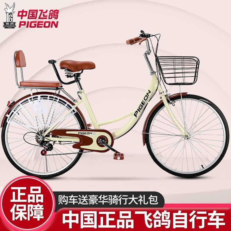 Flying Pigeon Bicycle