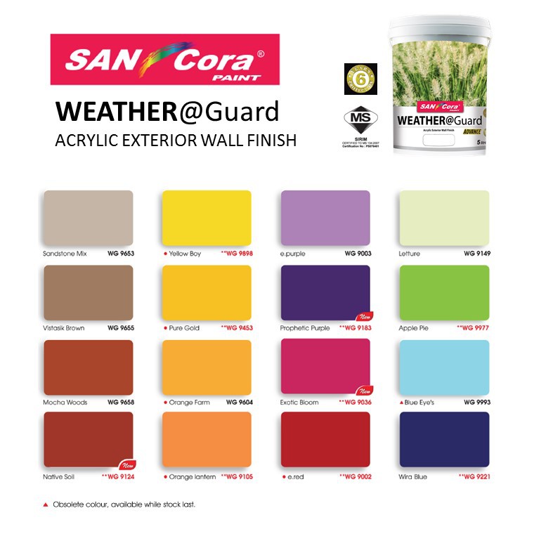 (1 Litre) SANCora WEATHER@Guard Advance Acrylic Exterior Wall Finish ...