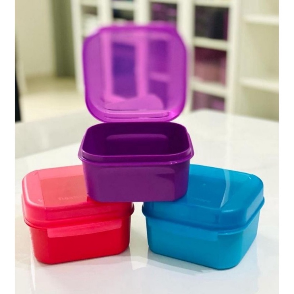 8 jns: Tupperware Handy Signature Line Rectangular 980ml/450ml Mini ...