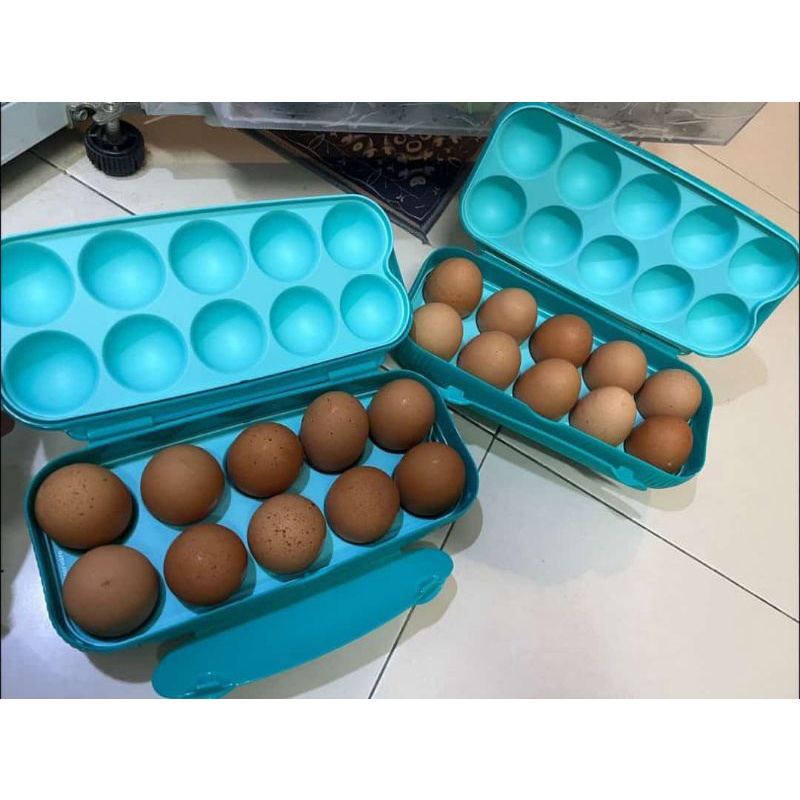 BEKAS TELUR TUPPERWARE | Shopee Malaysia