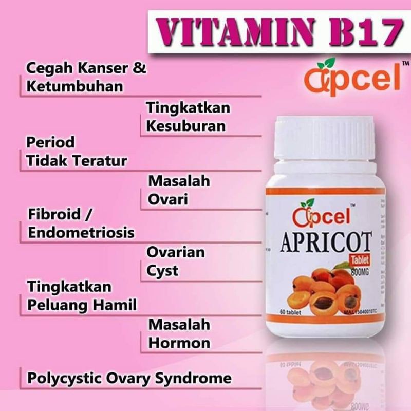 Apcel Apricot Tablet (800mg) | Shopee Malaysia