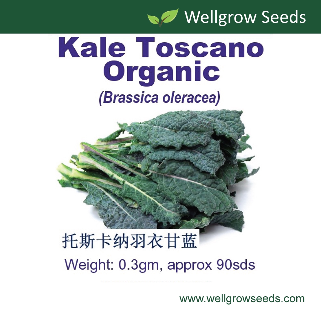 Wellgrow Seeds Official Store, Online Shop | Shopee Malaysia