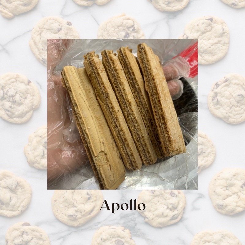 Biskut Tin / Timbang Apollo Chocolate Stick | Shopee Malaysia