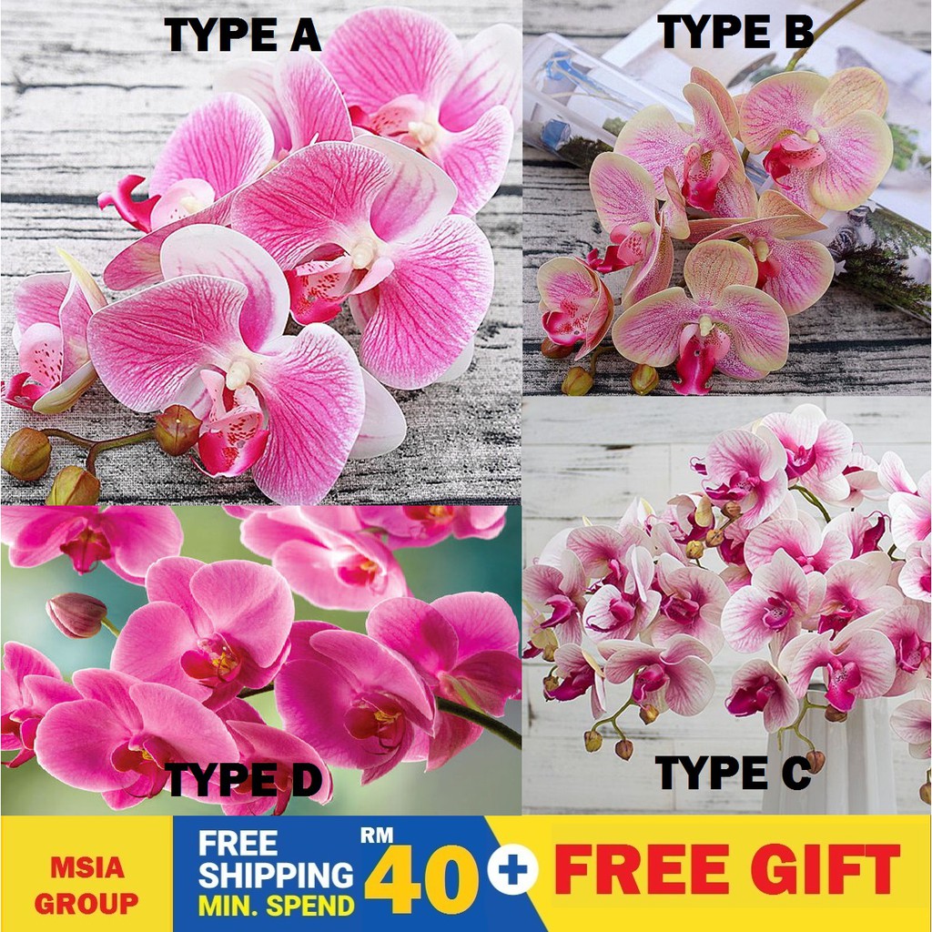 Paling Populer 22+ Download Gambar Bunga Orkid - Gambar Bunga Indah