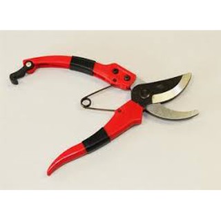 Tiger Pruning Shear Expert Gardening Cutter High Carbon Steel 700 ...