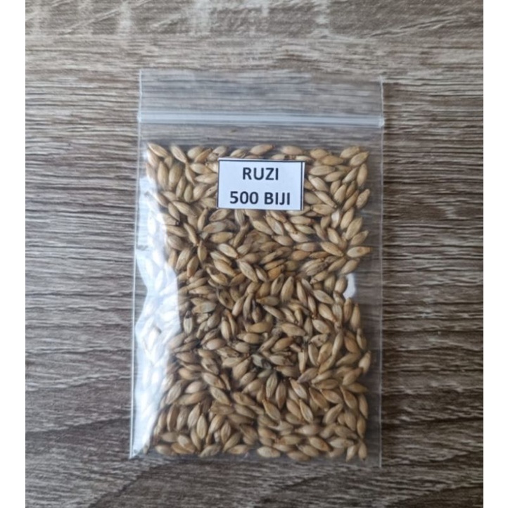 Benih Rumput Ruzi 500biji ( haiwan ternakan ) | Shopee Malaysia