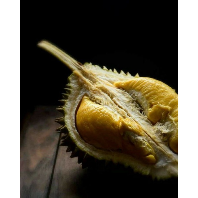 Anak Pokok Durian Ready Stock | Semua Jenis Durian | Pembekal Seluruh ...