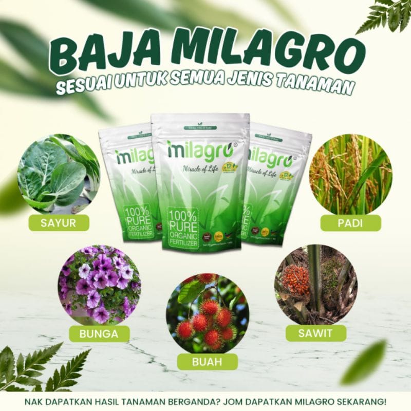 BAJA MILAGRO 100% ORGANIC | NATURAL PLANT VAC NPV MILAGROW BAJA SAYUR ...