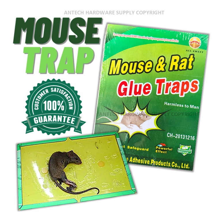 Papan Gam Tikus POWER PASTI BERKESAN / Perangkap Gam Tikus / Rat Glue ...