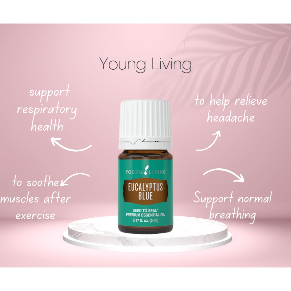 Young Living YL Eucalyptus Blue Essential Oil 5ml | Shopee Malaysia