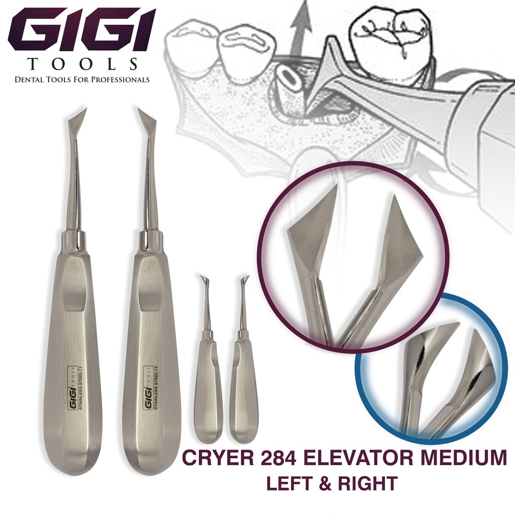 GIGI TOOLS Dental Cryer 284 Elevator Regular Left & Right Dental Root Elevators Stainless Steel ...