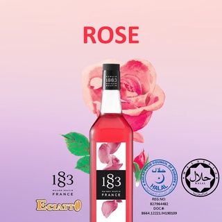 1883 MAISON ROUTIN 1883 Syrup Rose Syrup For Coffee Halal Air Kordial ...