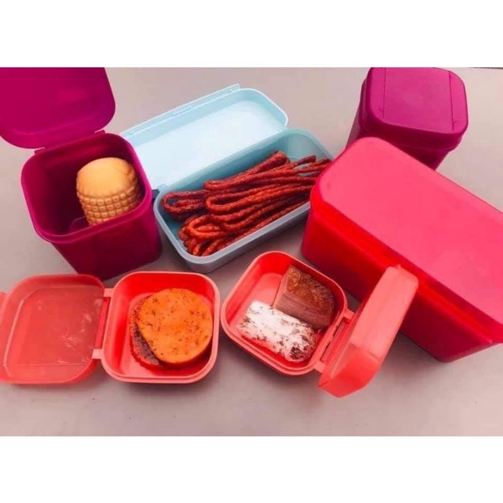 8 jns: Tupperware Handy Signature Line Rectangular 980ml/450ml Mini ...