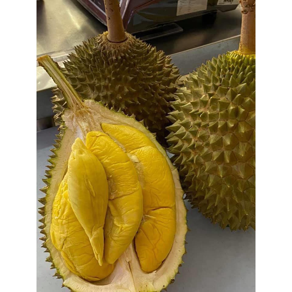 RAUB DURIAN GARDEN Musang King Super XO Durian - FRESH SAME DAY ...