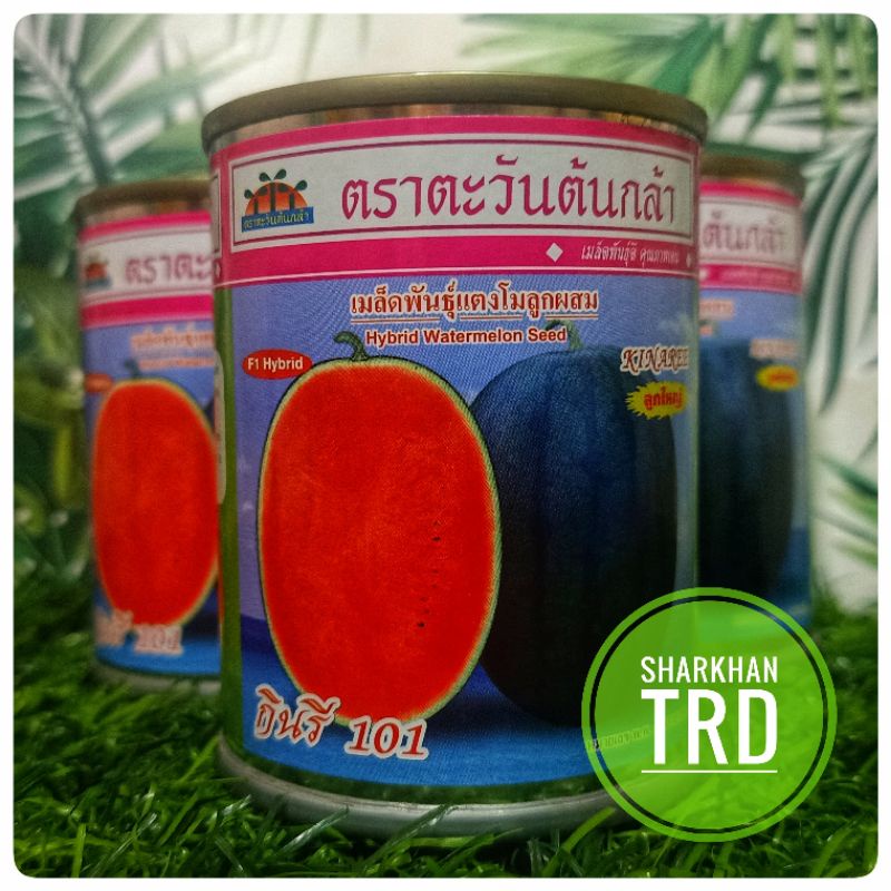 Tin 40g KINAREE 101 Advance Seeds Biji Benih Tembikai Madu Merah F1 ...