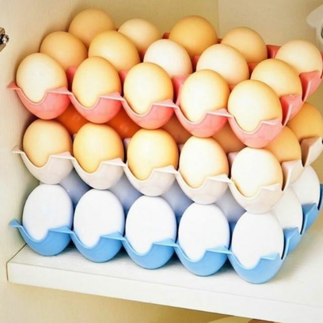 Plastic Egg / Bekas simpan telur (15grid) | Shopee Malaysia