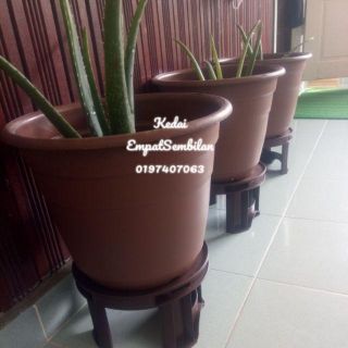 pasu - Prices and Promotions - Jun 2021 | Shopee Malaysia