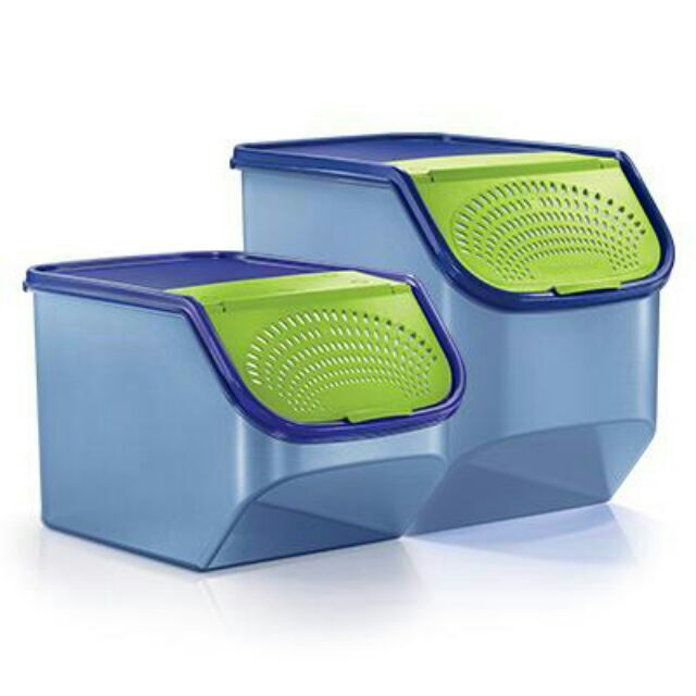 Tupperware GARLIC and ALL KEEPER (2) | Shopee Malaysia