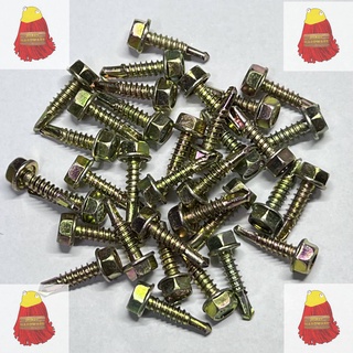 #10 x 3/4" Awning Screws (Skru Besi) Hex Head Self Drilling Screws ...