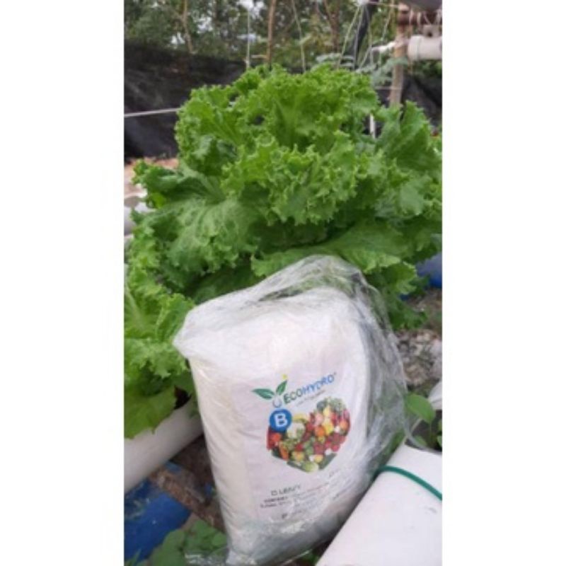 ECOHYDRO BAJA AB Multi 2kg Hydroponics Fertigasi hidroponik plant ...